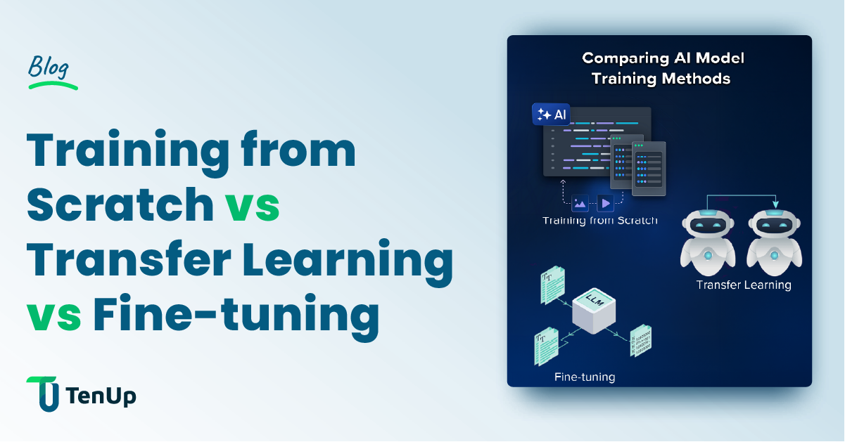 Training AI Model from Scratch vs Transfer Learning vs Fine-tuning